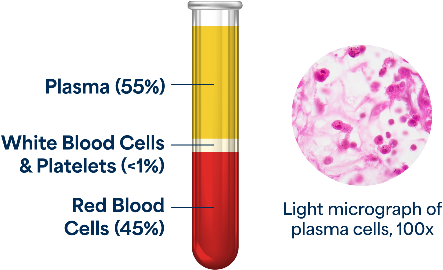 What is Plasma? :: ADMA BioCenters