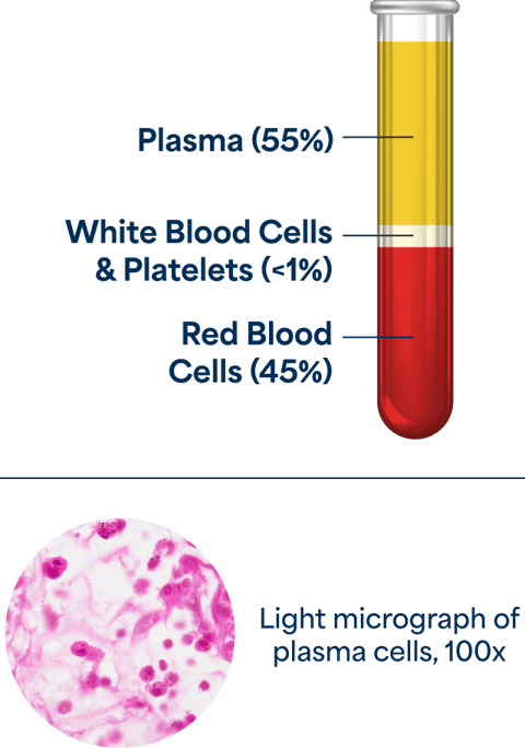 What is Plasma? :: ADMA BioCenters